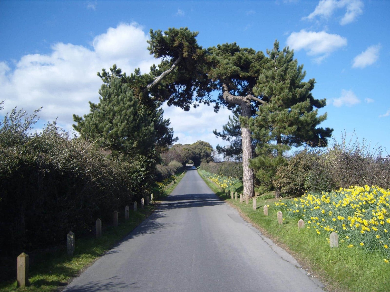 Highdown Gardens - iVisit