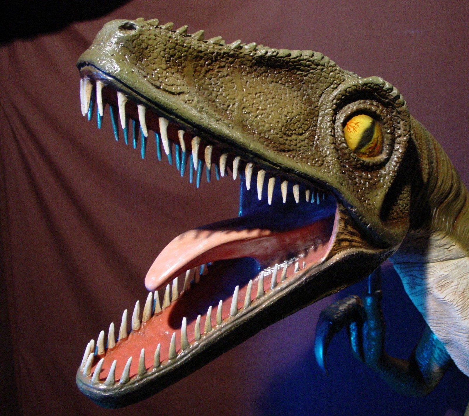 Dinostar Hull - iVisit