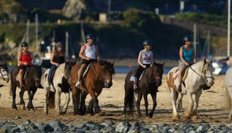 Pony Trekking at Bwlchgwyn Farm - iVisit